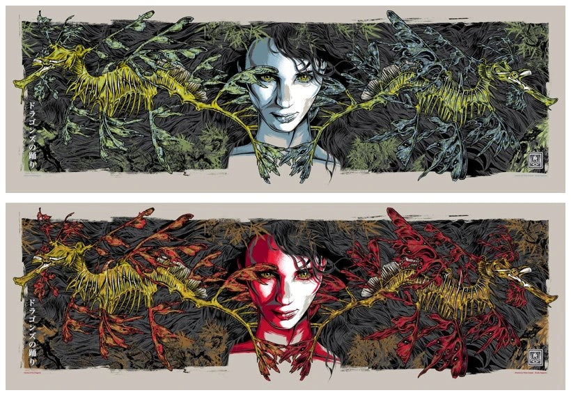 Rhys Cooper | Signari Gallery