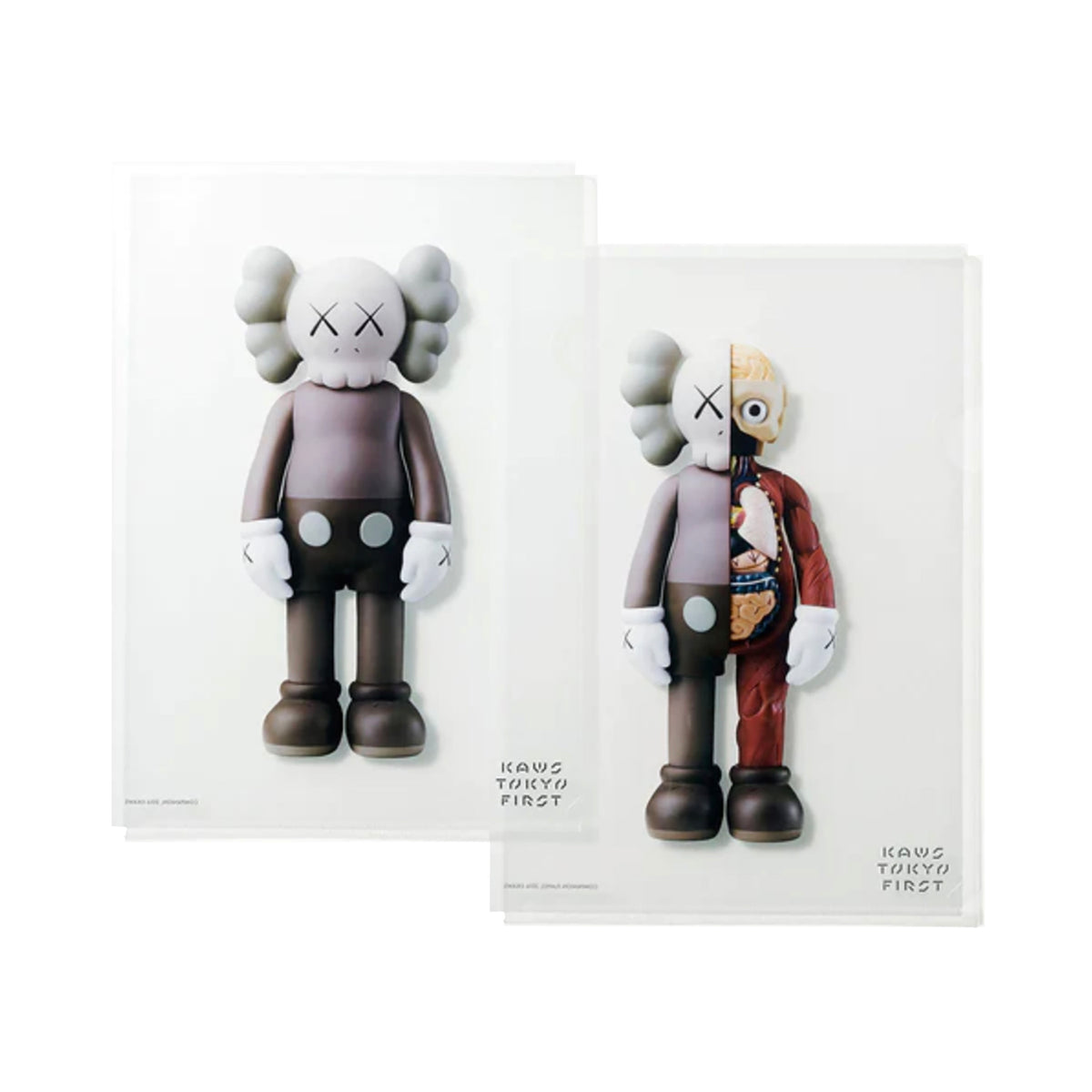 KAWS 'Tokyo First: Companion + Flayed Companion' (2021) Clear File ...